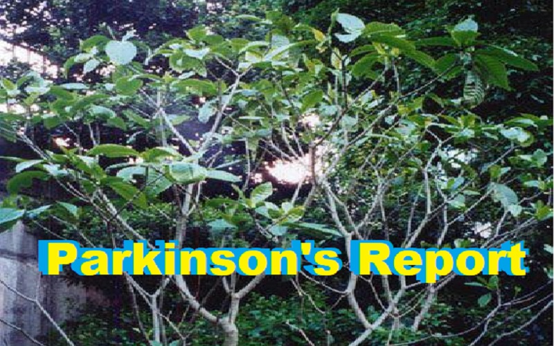 Download This Printable Report On Parkinson's Disease Research